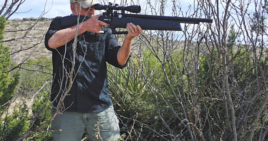 I Tested And Ranked The Best Pump Air Rifles In 2025 – Gadget Crutches ...